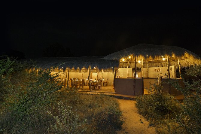 Exclusive : Overnight Leopard Safari with Luxury Glamping - An In-Depth Look at the Safari Experience