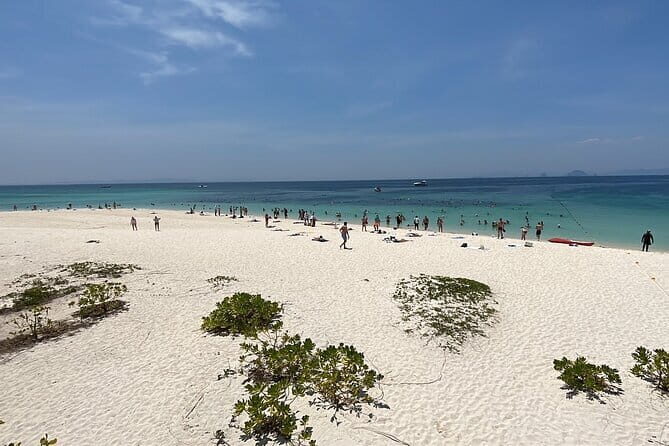 Exclusive Phi Phi and Bamboo Islands Private Tour - A Closer Look at the Itinerary