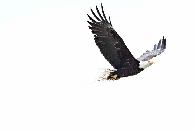 Exclusive Photography Tour Haines Departure - What Travelers Say