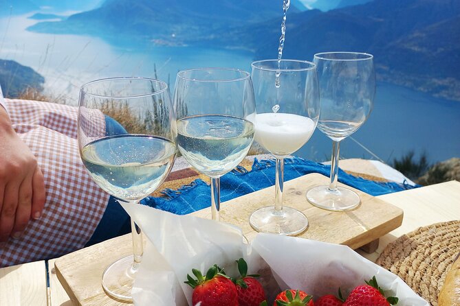 Exclusive Picnic in the Foothills of the Alps With the Lake Views - Accessibility and Accommodations