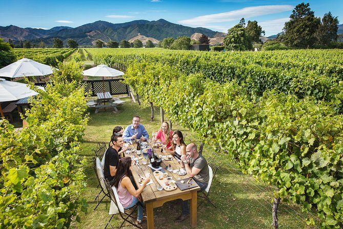 Exclusive Picton Wine & Scenic Adventure: VIP Cruise Experience - A Deep Dive into the Marlborough Wine Experience