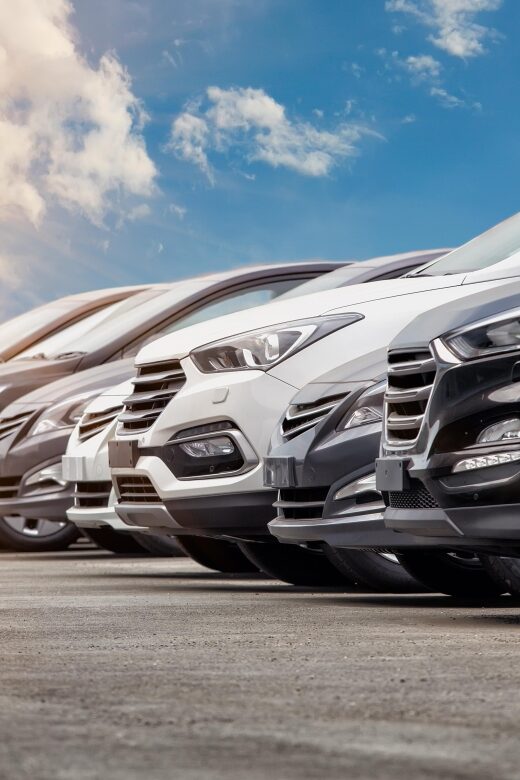 Exclusive: Private 6-Hour Blenheim Palace Tour. - An In-Depth Look at the Experience