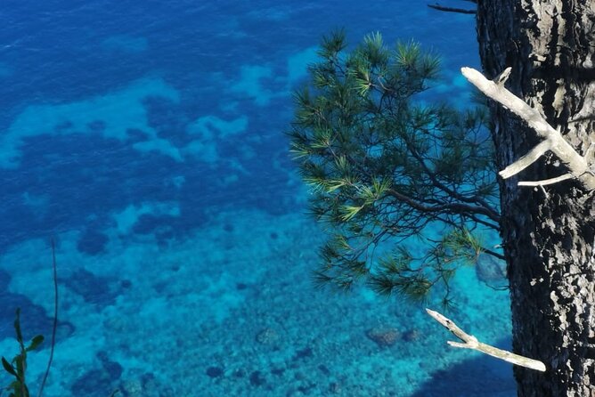 Exclusive Private Boat Tour in Italy - Frequently Asked Questions