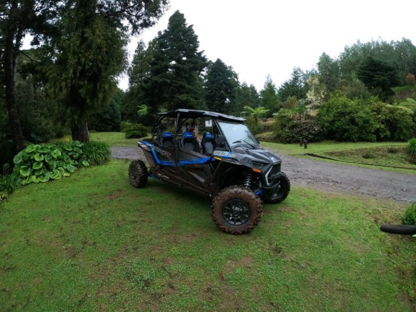 Exclusive Private Buggy Adventure: Forest and Mountains - An In-Depth Look at the Experience