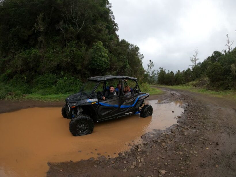 Exclusive Private Buggy Adventure: Forest and Mountains - FAQ