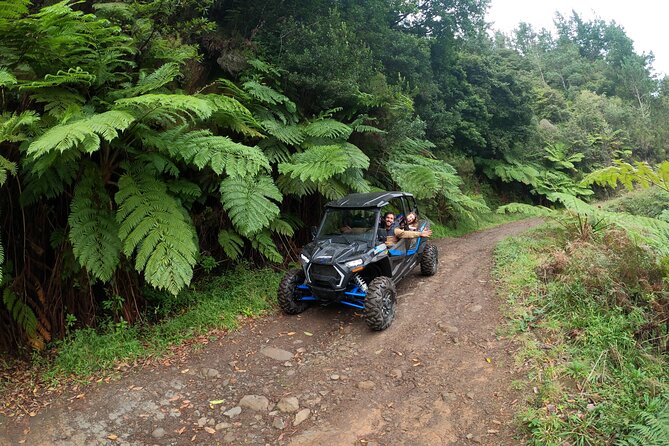 Exclusive Private Buggy Adventure: Forest and Mountains - Highlights of the Buggy Adventure