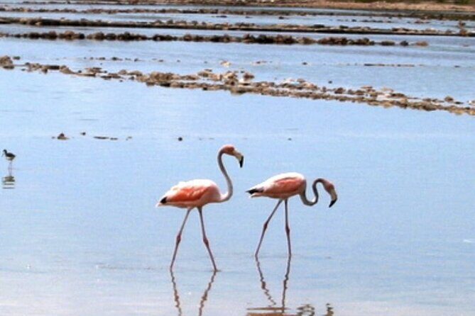 Exclusive Private Land Tour of Grand Turk - Who Will Love This Tour?