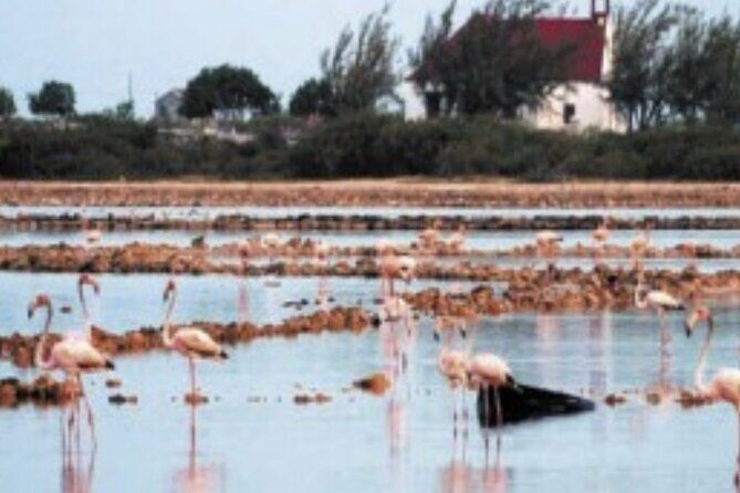 Exclusive Private Land Tour of Grand Turk - FAQ