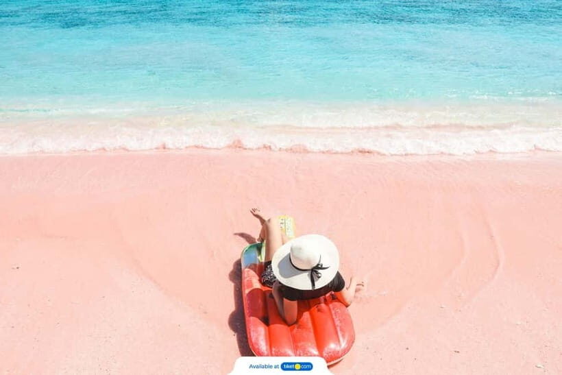 Exclusive Private Pink Beach with Snorkeling Tour - Key Points