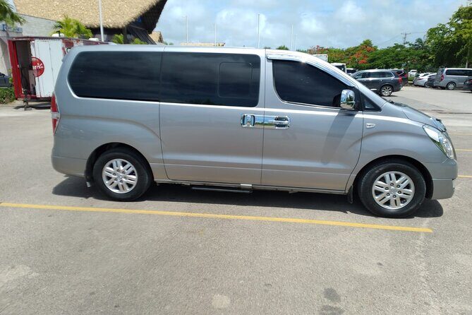 Exclusive Private Transfer: Punta Cana Airport to Bávaro Hotels - Why Choose This Transfer?