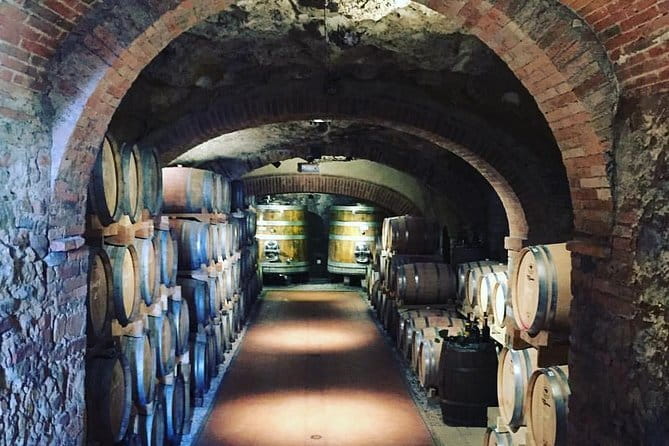 Exclusive Private Tuscany Wine Tour & Food Pairing Session - Lunch: Authentic Tuscan Flavors