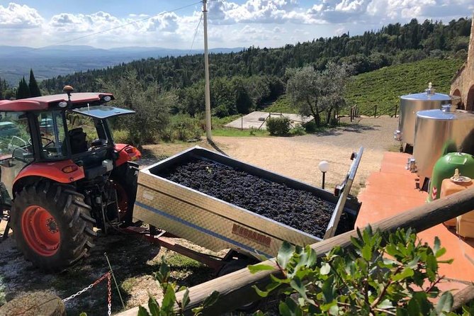 Exclusive Private Tuscany Wine Tour & Food Pairing Session - Tuscan Cuisine and Lunch