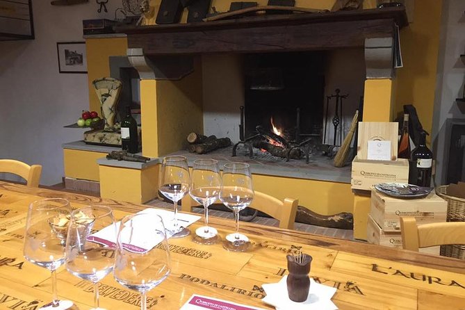 Exclusive Private Tuscany Wine Tour & Food Pairing Session - Transportation and Logistics