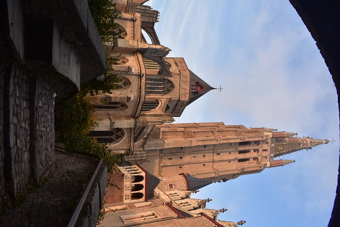 Exclusive PRIVATE Walking Tour of Bruges - Accessibility and Age Restrictions