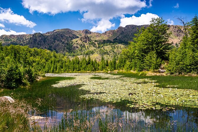 Exclusive Qafshtama National Park Hiking Tour With Private Transfer - Authentic Feedback: What Travelers Say