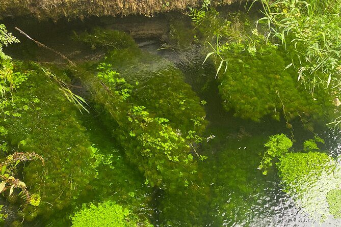 Exclusive: Rainforest and Olympic National Park from Seattle - FAQ Section