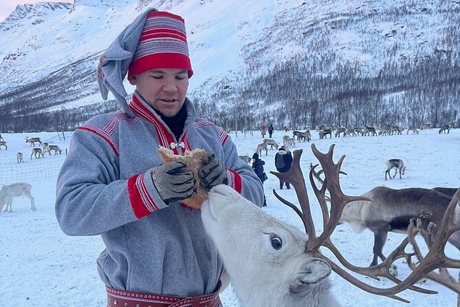 Exclusive Reindeers Experience in Small Groups, Tromso - Positive Customer Reviews and Feedback