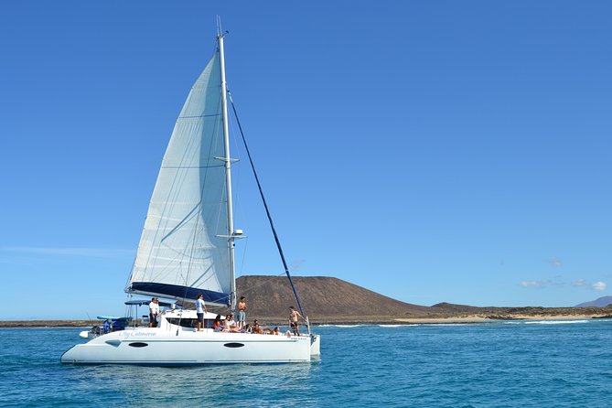 Exclusive Sailing Catamaran Experience to Lobos Island With Lunch and Drinks - Activities Available During the Cruise