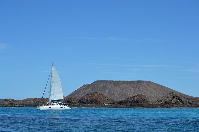 Exclusive Sailing Catamaran Experience to Lobos Island With Lunch and Drinks - Pricing and How to Book Your Spot