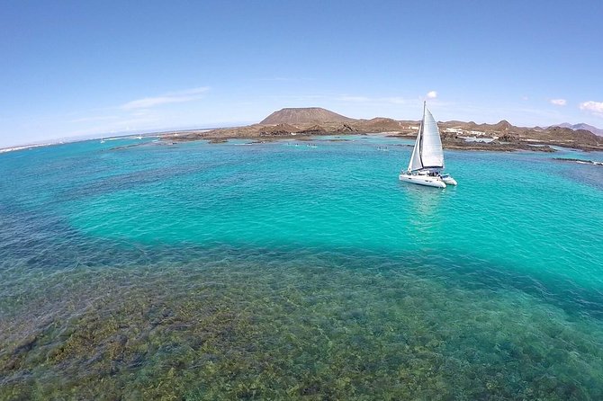 Exclusive Sailing Catamaran Experience to Lobos Island With Lunch and Drinks - Traveler Reviews and Experience Feedback