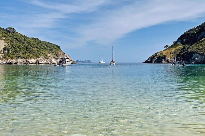 Exclusive Sailing Charter from Waiheke Island - Key Points
