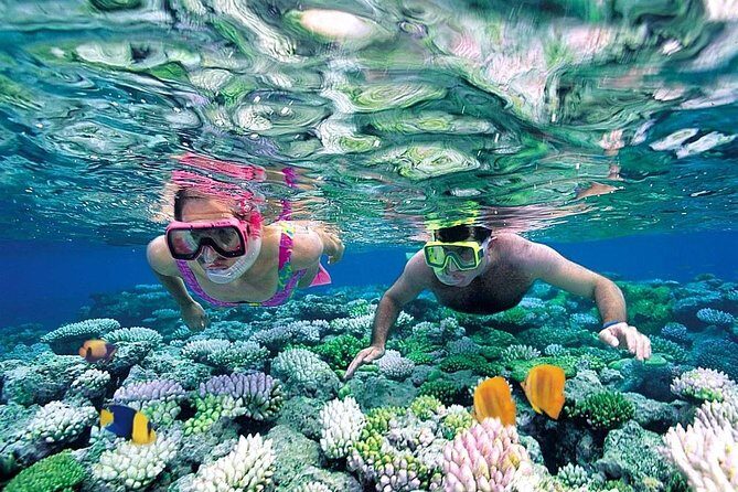 Exclusive Sailing Isla Mujeres. Top tour! - Is This Tour Right for You?
