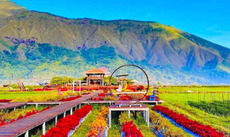 Exclusive Sembalun One-Day Tour: Nature and Scenic Wonders - What’s Included and What to Expect