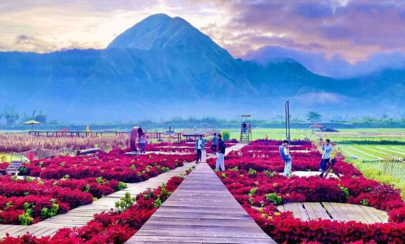 Exclusive Sembalun One-Day Tour: Nature and Scenic Wonders - Practical Tips for Travelers