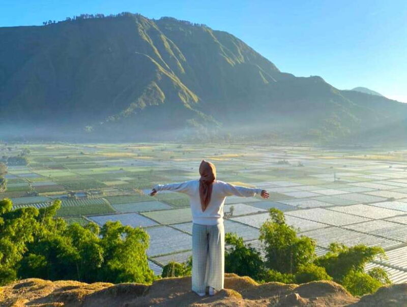 Exclusive Sembalun One-Day Tour: Nature and Scenic Wonders - Who Will Love This Tour?