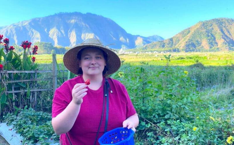 Exclusive Sembalun One-Day Tour: Nature and Scenic Wonders - The Bottom Line