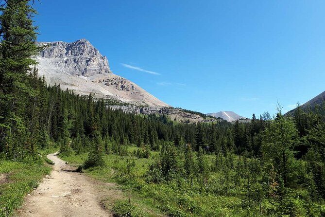Exclusive Skoki Backcountry Guided Hiking in Lake Louise with Van Shuttle - An In-Depth Look at the Skoki Backcountry Guided Hike