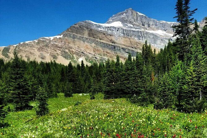 Exclusive Skoki Backcountry Guided Hiking in Lake Louise with Van Shuttle - FAQ
