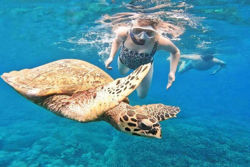 Exclusive Snorkeling Experience to Gili Gede and 4 Gilis - Key Points