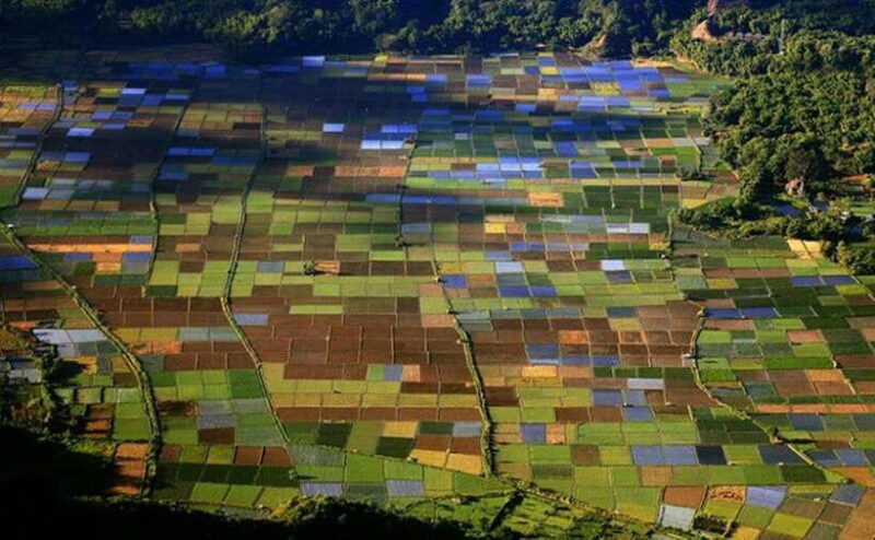 Exclusive Soft Hiking: 2-Day Pergasingan Hill Adventure - Who Should Consider This Tour?