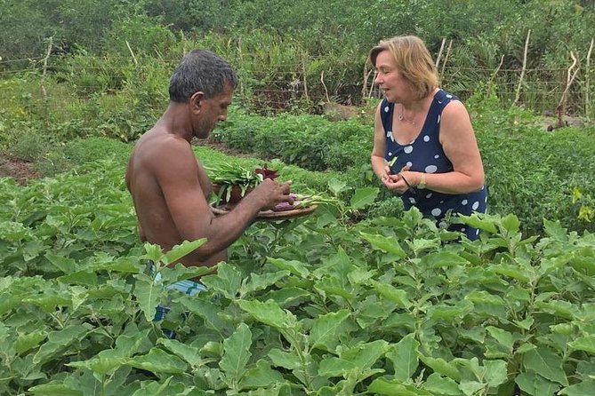 Exclusive : Southern Sri Lanka Sightseeing Private Day Trip - FAQ