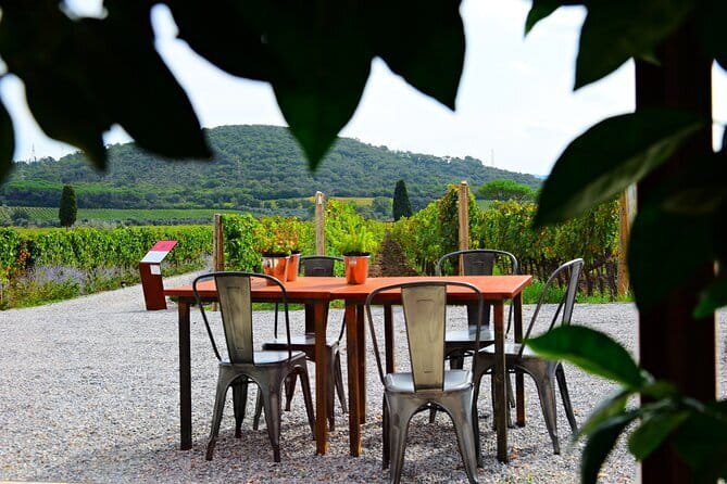 Exclusive Suvereto tour from Florence: Land of Elisa Bonaparte - What Makes This Tour Stand Out?