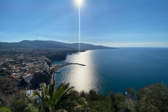 Exclusive tour in Sorrento and Pompeii with transport and tickets - Price and Value Analysis