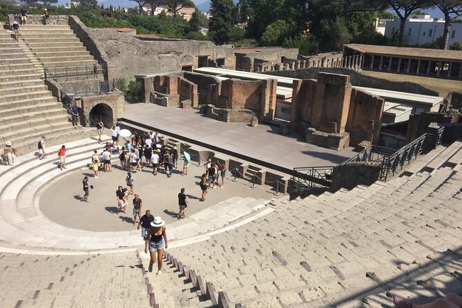 Exclusive tour in Sorrento and Pompeii with transport and tickets - Who This Tour Is Best For