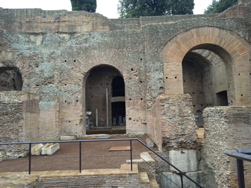 Exclusive tour of Ancient Rome and Domus Tiberiana - The Practicalities: What’s Included and What’s Not