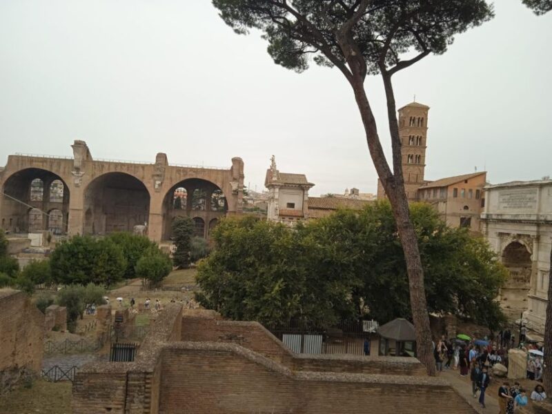 Exclusive tour of Ancient Rome and Domus Tiberiana - How the Experience Feels in Practice