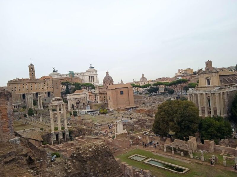 Exclusive tour of Ancient Rome and Domus Tiberiana - The Sum Up: Who Will Love This Tour