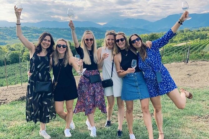 Exclusive Tour of the Vineyards with Visit to the Cellar! - Discovering the Vineyards and the Estate