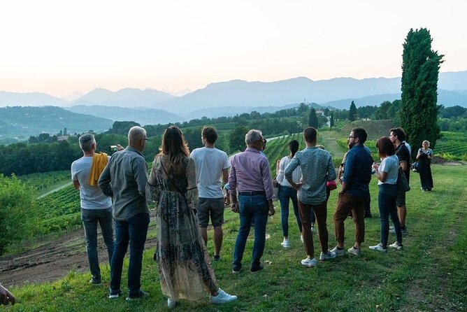 Exclusive Tour of the Vineyards with Visit to the Cellar! - A Tour Designed for Enjoyment and Education