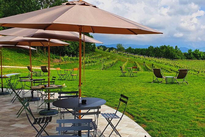 Exclusive Tour of the Vineyards with Visit to the Cellar! - FAQs