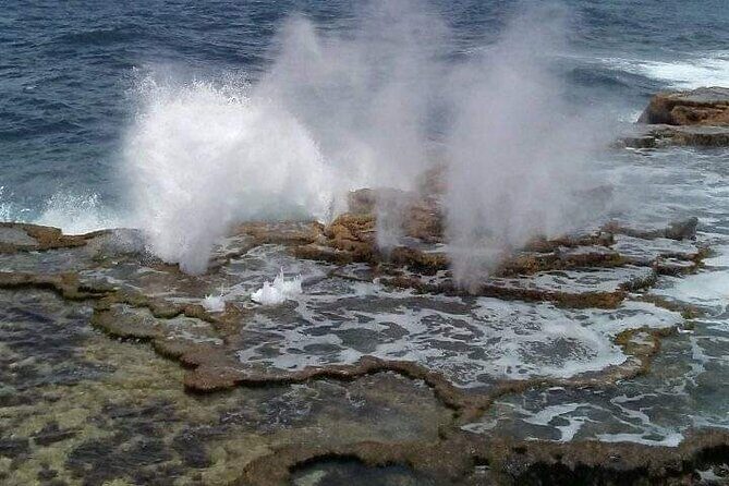 Exclusive Tour of Tongatapu - Who Will Love This Tour?