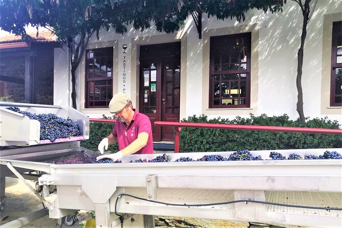 Exclusive Tour Porto-Douro Valley-Wine Tasting/Lunch/Boat Tour - Wine Tasting Experience