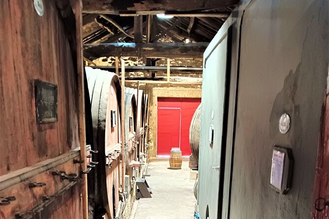 Exclusive Tour Porto-Douro Valley-Wine Tasting/Lunch/Boat Tour - Scenic Boat Tour