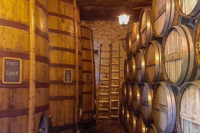 Exclusive Tour Porto-Douro Valley-Wine Tasting/Lunch/Boat Tour - Reviews and Guest Experiences