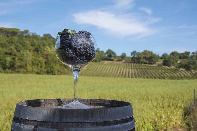 Exclusive Tuscan Pinot Noir, Land of Medici Family - Key Points