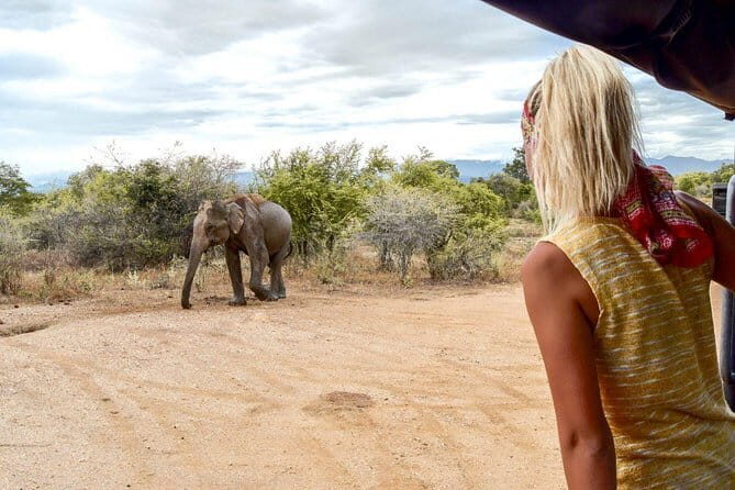 Exclusive : Udawalawe Safari & Elephant Transit Visit with Lunch - Authentic Encounters and What Travelers Say